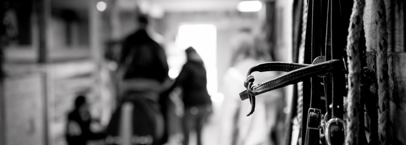 BOARD | Stride Alaska Therapeutic Riding